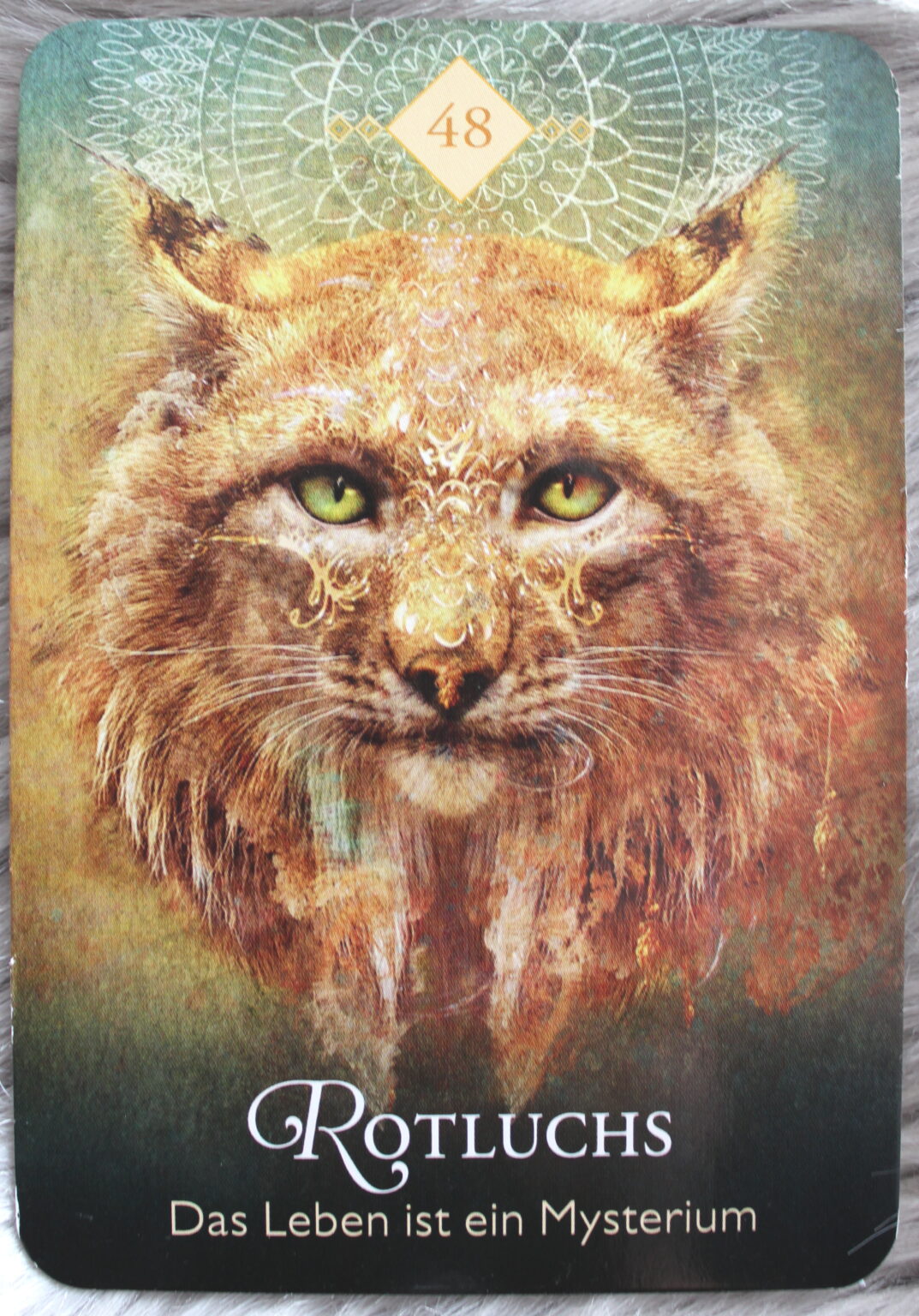 Dein Krafttier – 48 Rotluchs - Weil du stark bist